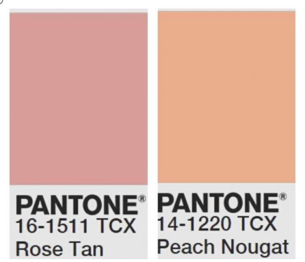 Scopri i nuovi colori Pantone per l' Inverno 2020-21 - Maria Rosa Neri